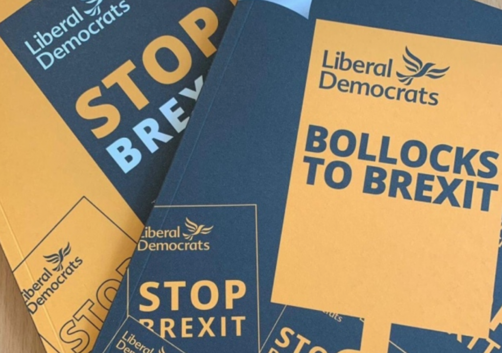 The Brexit Party and the EU elections – TheWeeFlea.com